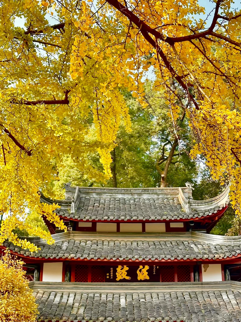 Best Places to See Fall Colors in Chengdu - Ruqin China Travel